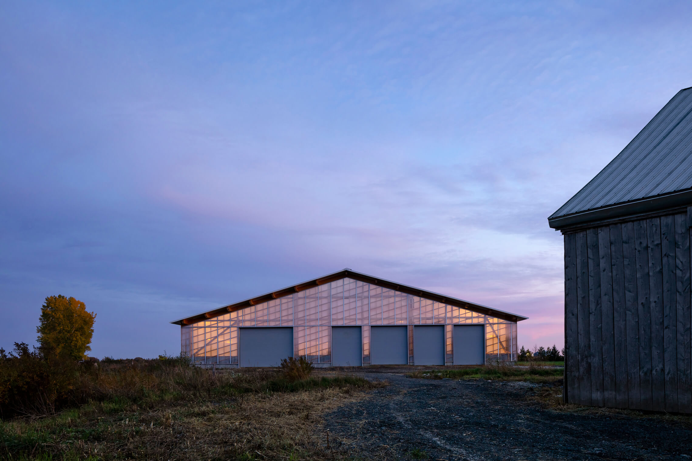La Shed Architecture